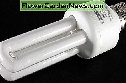 Jenis-jenis Lampu untuk Rumah Anda: LED, CFL, Pendarfluor, Natrium ...