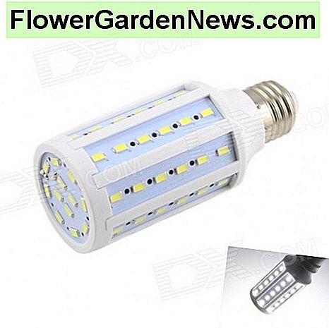 Jenis-jenis Lampu untuk Rumah Anda: LED, CFL, Pendarfluor, Natrium ...